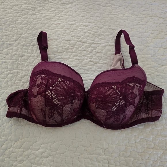 torrid | Intimates & Sleepwear | Torrid Curve Bra Purple Lace 42c ...